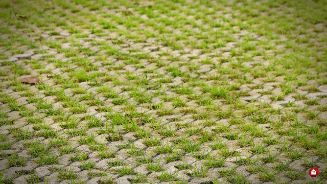 Turfstone Pavers: A Modern and Eco-Friendly Solution | Reno Quotes